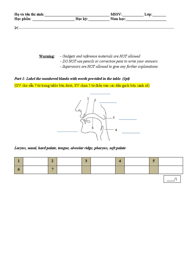 Final-English-Phonetics-and-Phonology | PDF