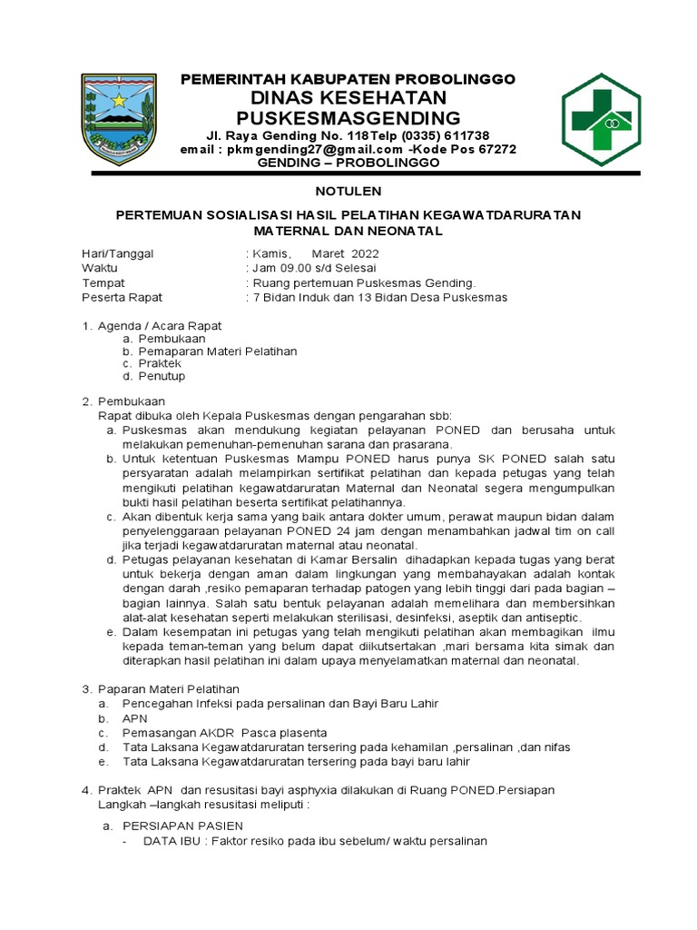 Notulen Pelatihan Gadar Matneo | PDF