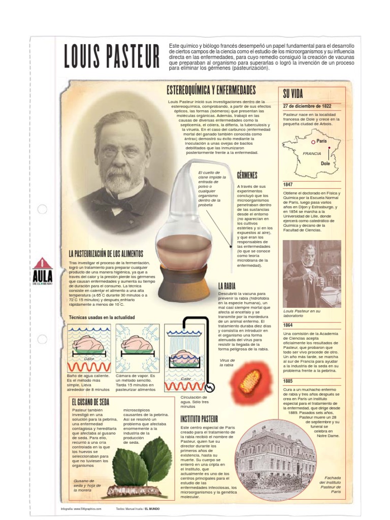 Aportes de Louis Pasteur a la microbiología | PDF | Luis Pasteur | Rabia