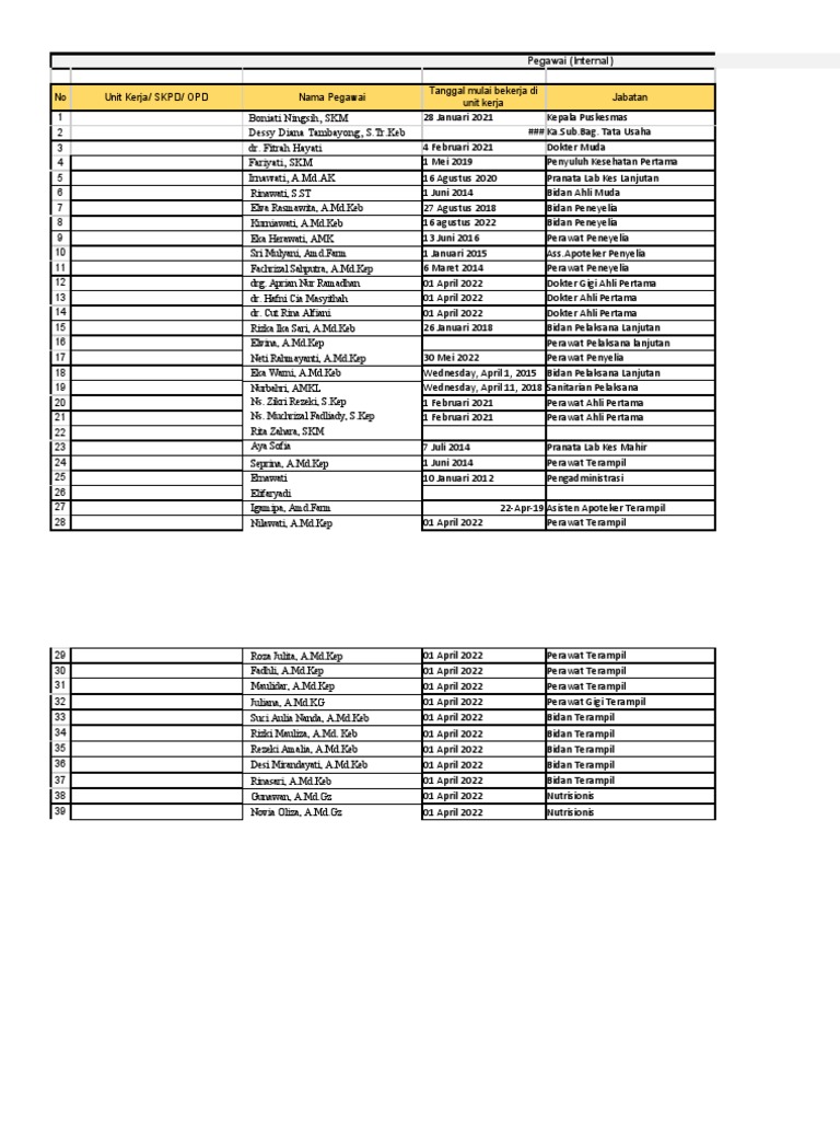 Format Data Spi Internal Pemda | PDF