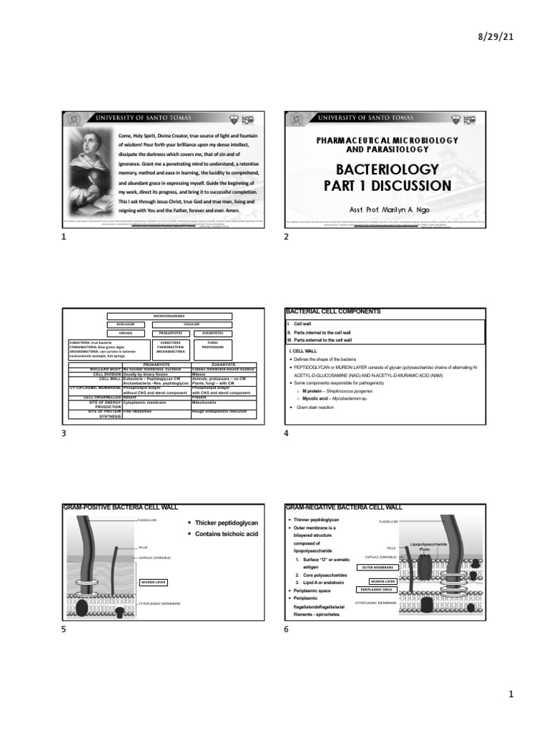 Bacteriology Part 1 | PDF