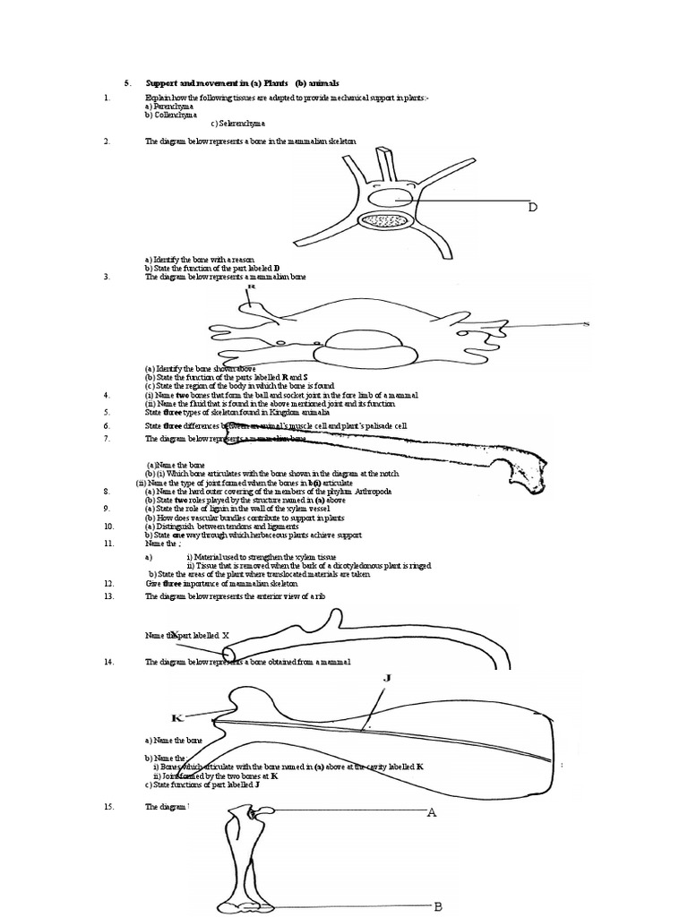 Q Support n Movement in Plants and Animals | PDF | Skeleton | Tissue ...