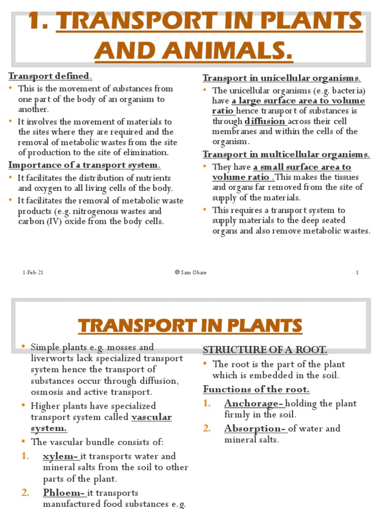Transport in Plants and Animals. | PDF | Atrium (Heart) | Ventricle (Heart)