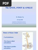 Posterior Tibial Tendon Insufficiency (PTTI) - Foot & Ankle ...