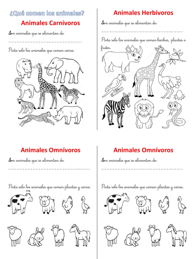 Fichas - Animales Según Su Alimentación | PDF