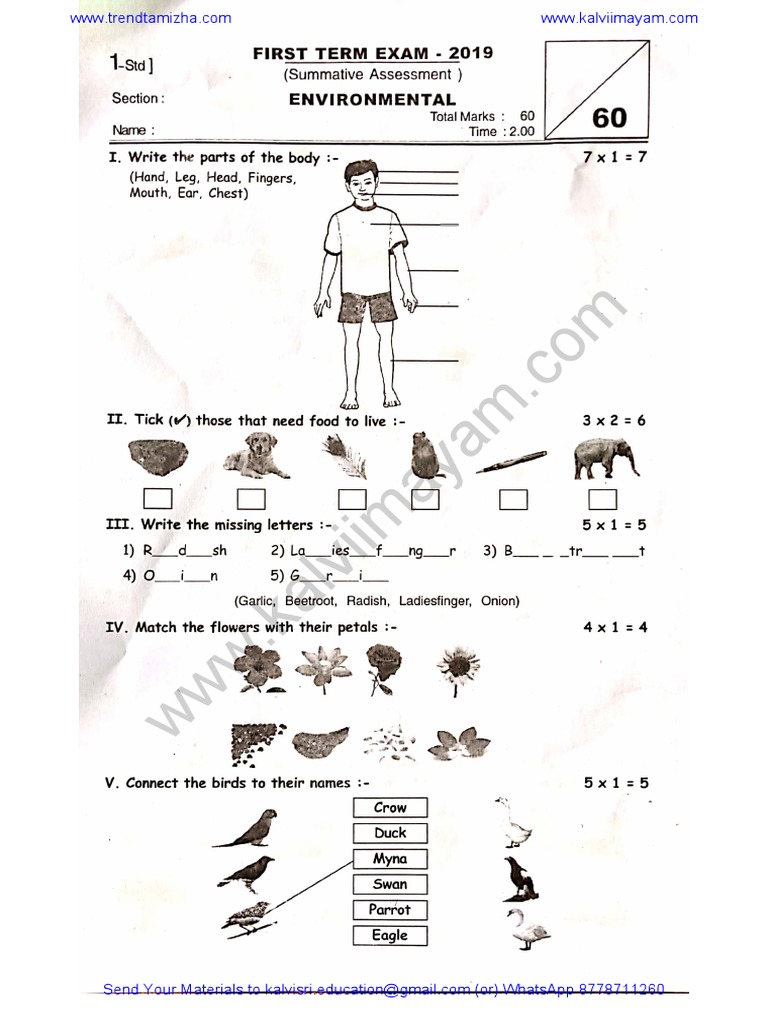 1st EVS Quaterly Question Paper English Medium | PDF