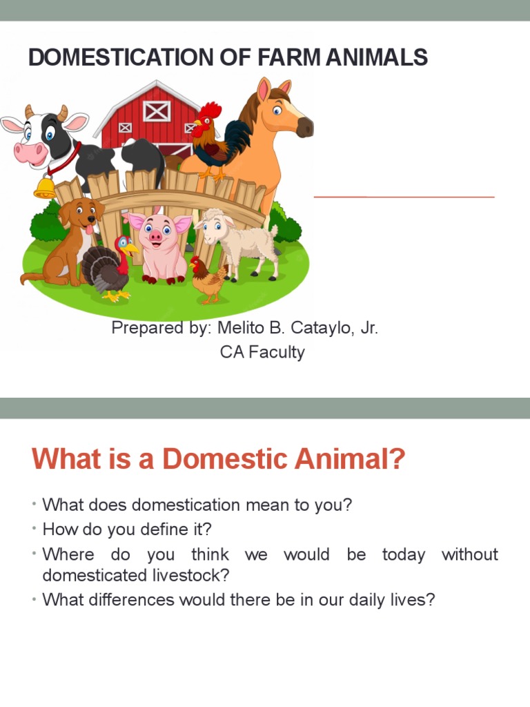 Domestication of Farm Animals | PDF | Domestication | Livestock