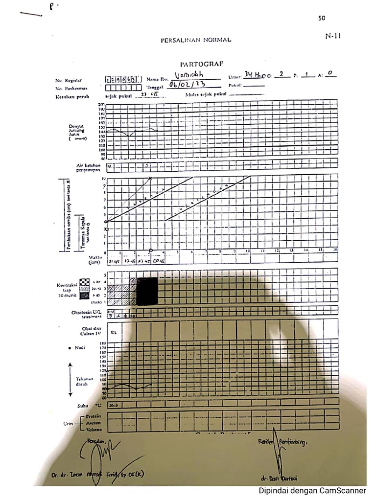 Lembar Partograf Minggu 9 - Efryan Iswara - C014202142 | PDF