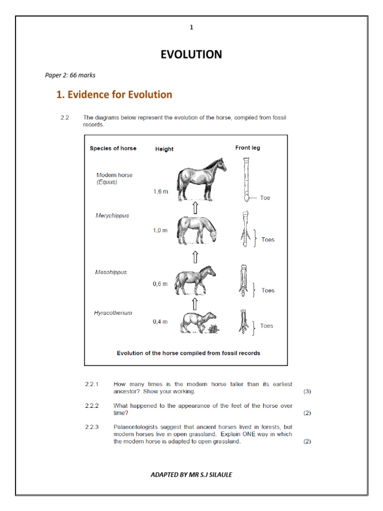 Evolution Activities Solutions | PDF