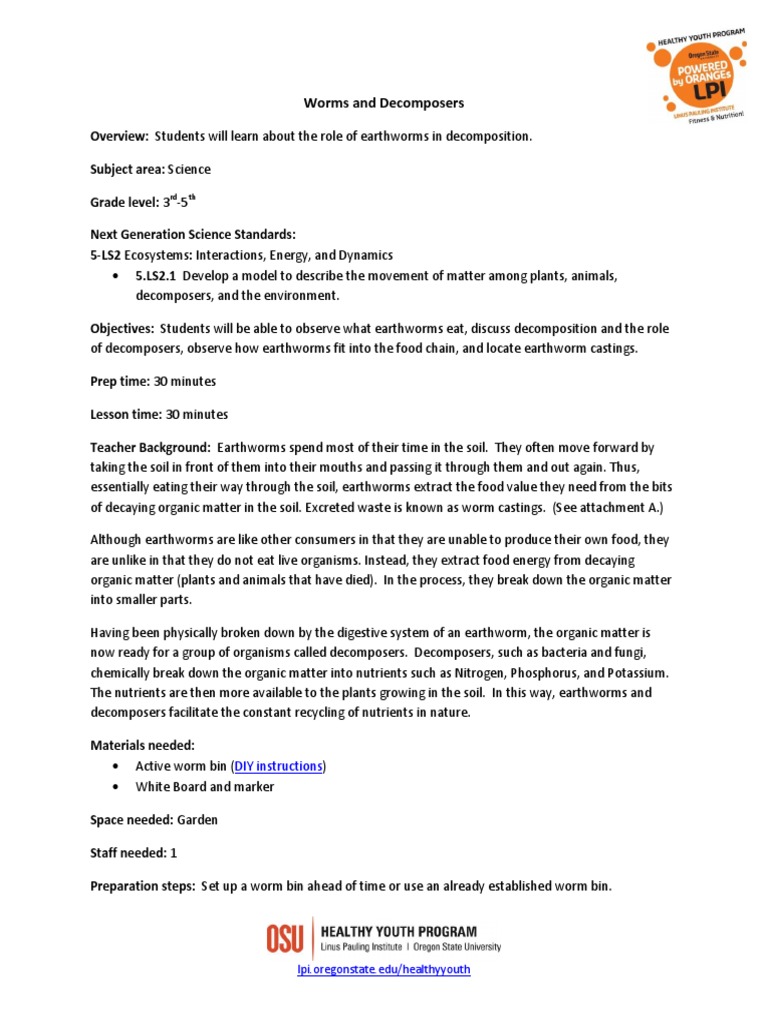 Grade Three Worms As Decomposers | PDF