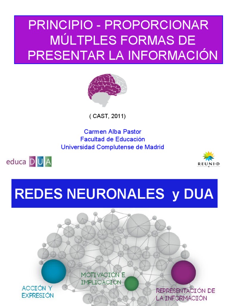 S.09. Proporcionar Múltiples Formas de Representación. | PDF ...