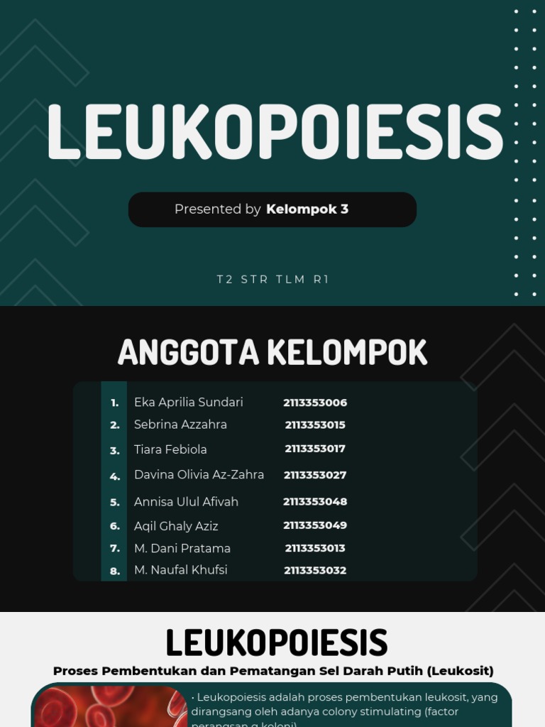 Kel3 Leukopoiesis | PDF
