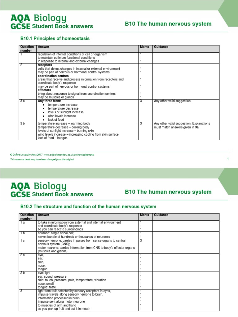 AQA GCSE Bio Combined End of Topic B10 | PDF | Nervous System | Neuron