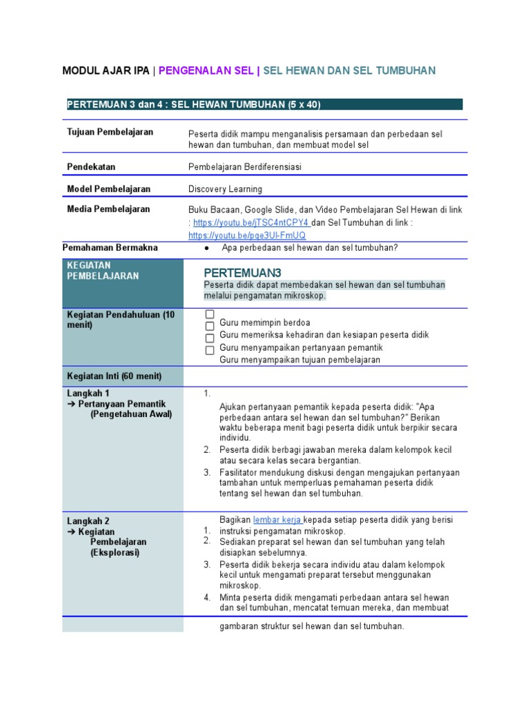 Analisis dan Model Sel Hewan Tumbuhan | PDF | Karier & Perkembangan | Pengembangan Diri