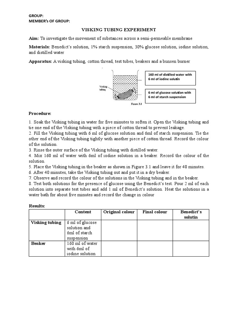 Visking Tubing Experiment on Diffusion | PDF | Cooking, Food & Wine ...