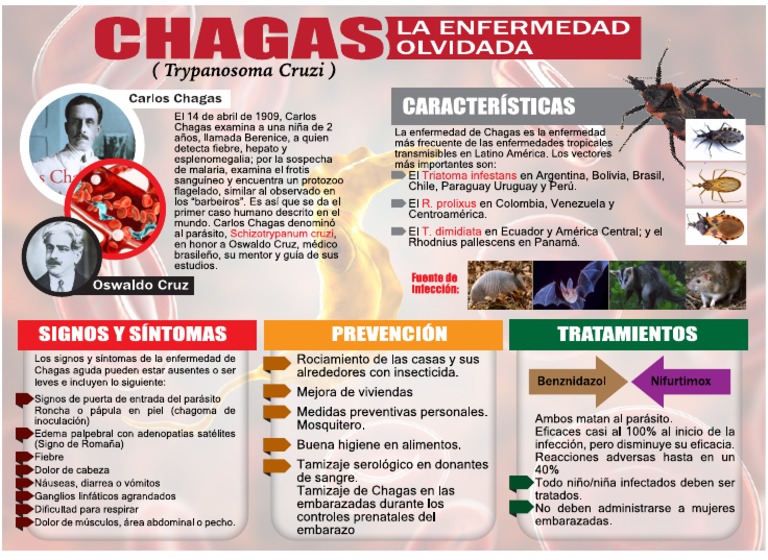 CHAGAS Vectores | PDF