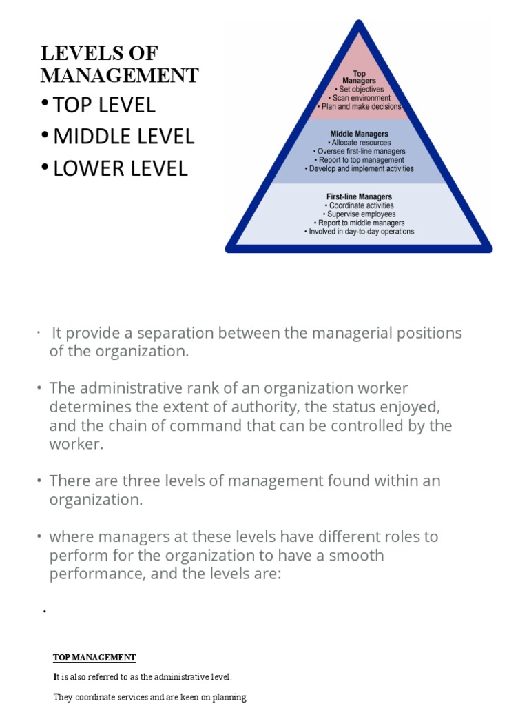 Levels of Management | PDF