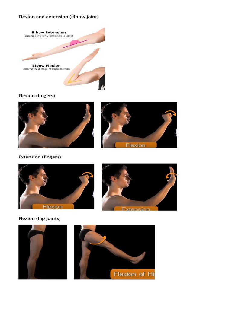 Joint Movements: Flexion and Extension | PDF | Wellness