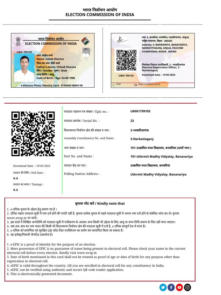 Voter ID | PDF