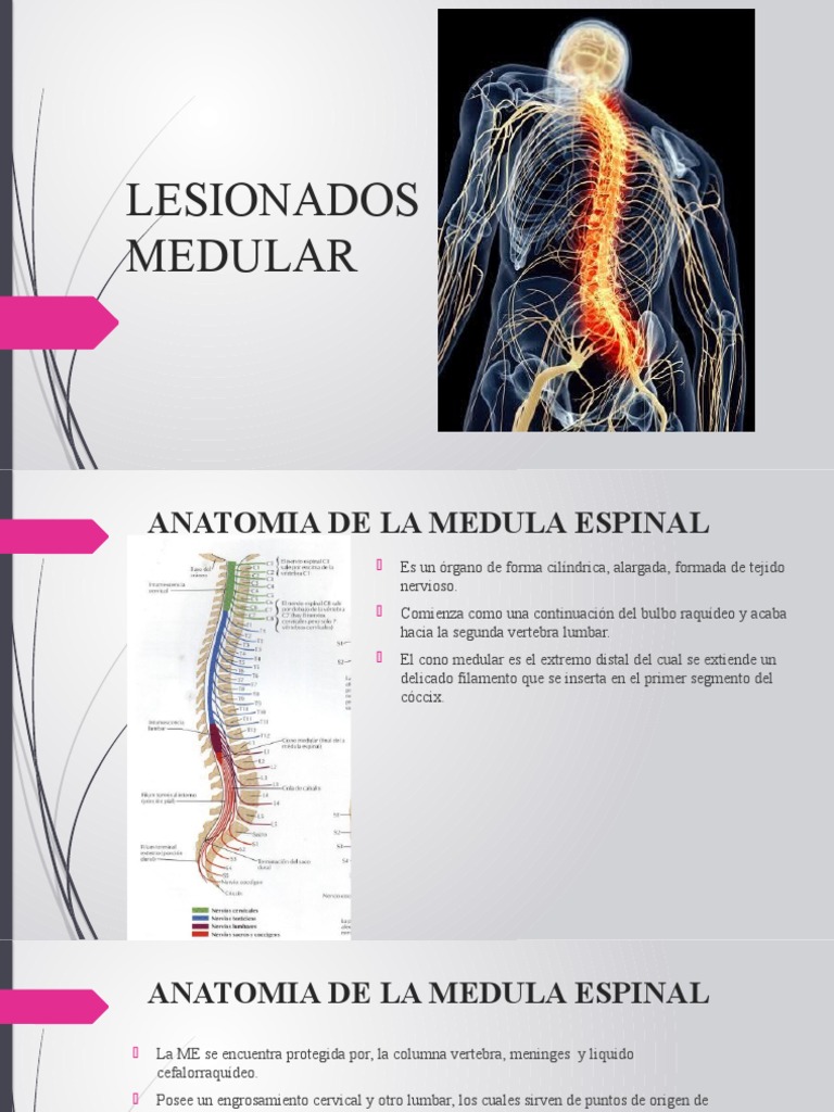 LESIONADOS MEDULAR, TRAUMATIS CRANEAL | PDF