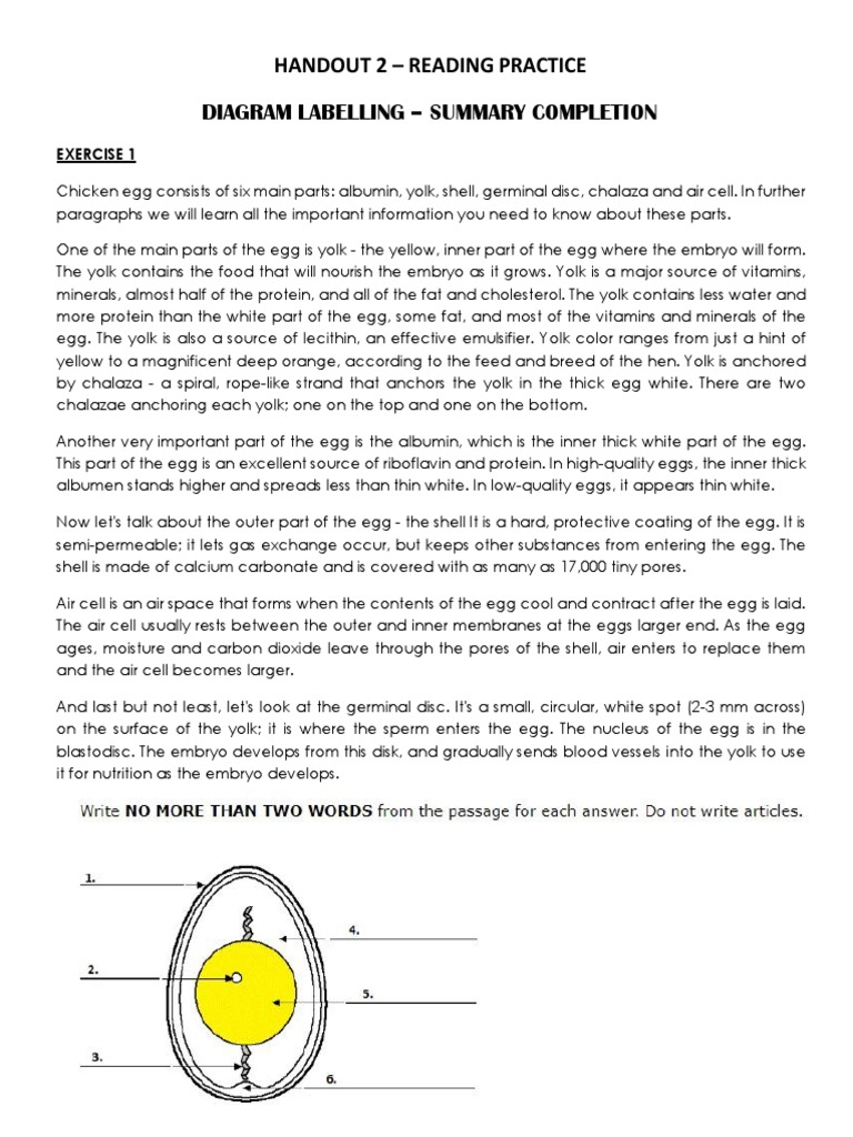 Energy Sources for Bicycle Propulsion | PDF