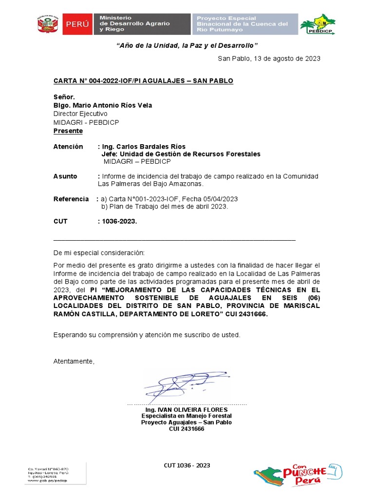 Informe003 - Iol - 2023 - Incidencia | PDF