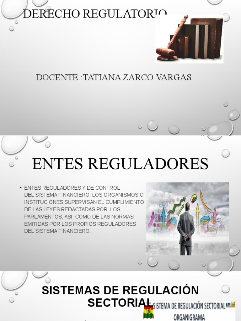 Derecho Regulatorio | PDF