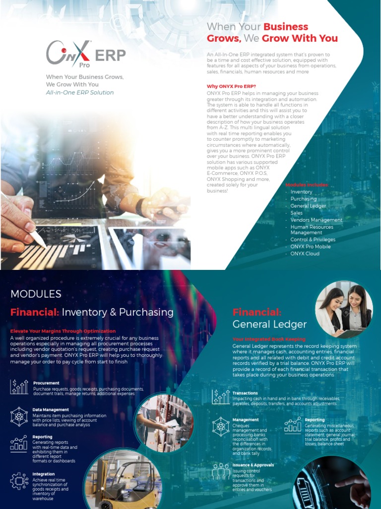 ONYX Pro ERP: All-in-One Business Solution | PDF