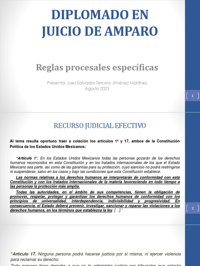 Presentacion Diplomado Del Juicio de Amparo | PDF | Jurisdicción | Judicaturas