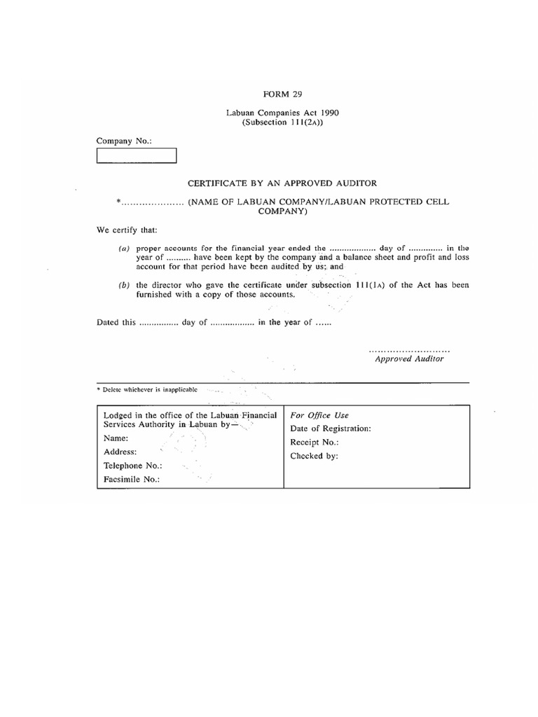 Form 29 Certificate by Approved Auditor | PDF