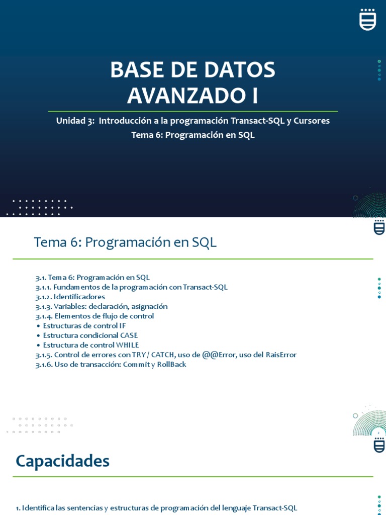 PPT 2022 03 U03 T06 Base de Datos Avanzado I (4686) | PDF