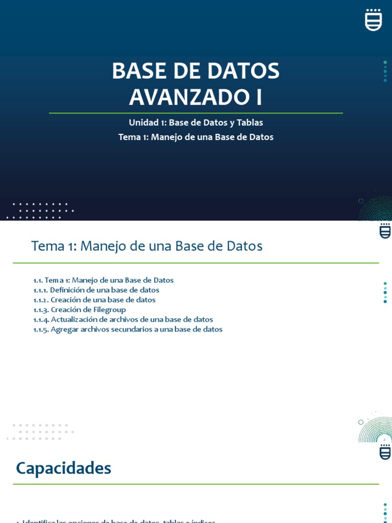 PPT 2022 03 U01 T01 Base de Datos Avanzado I (4686) | PDF