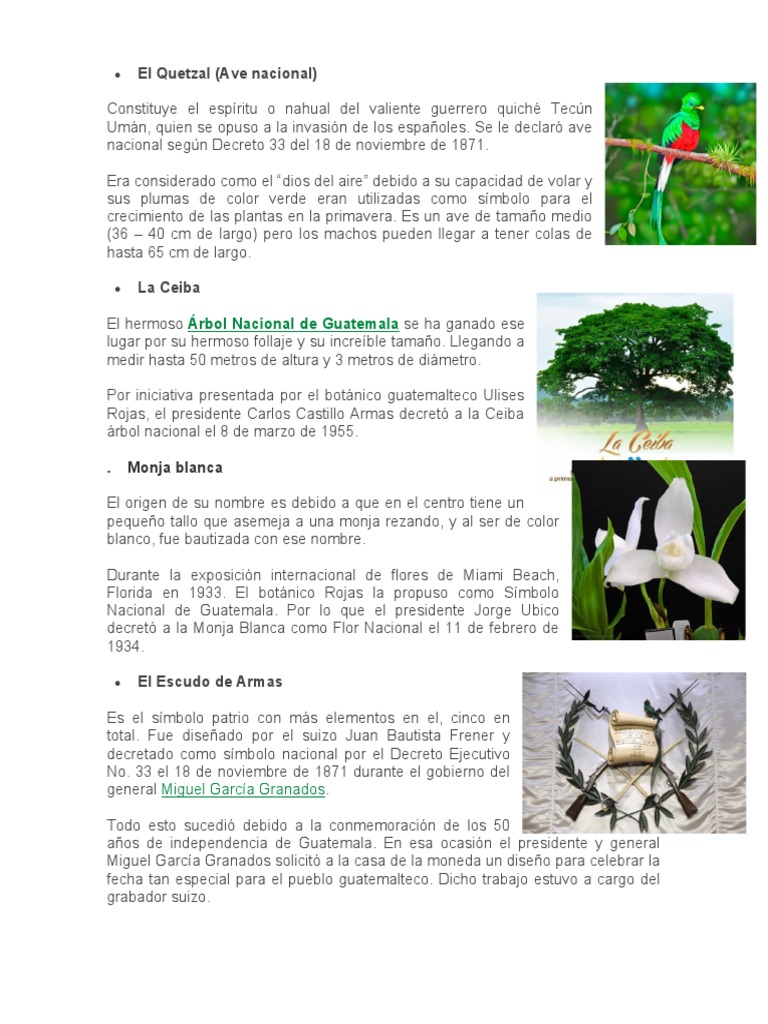 Significado de Los Simbolos Patrios | PDF