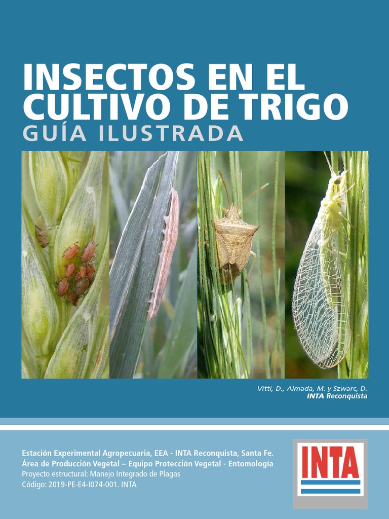 Insectos en El Cultivo de Trigo Guia Ilustrada 3 | PDF