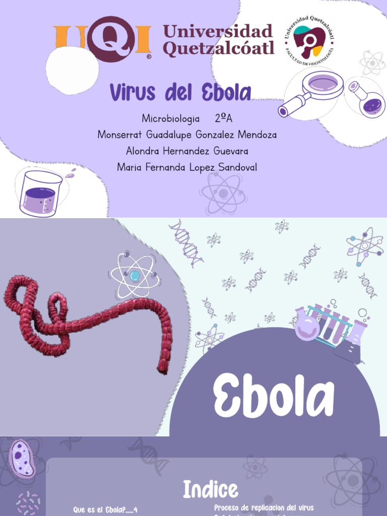 Ebola | PDF