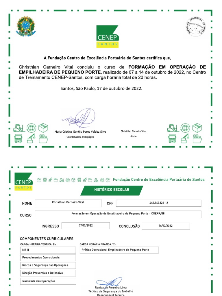 CERTIFICADO EPP.08 - Christhian Carneiro Vital | PDF