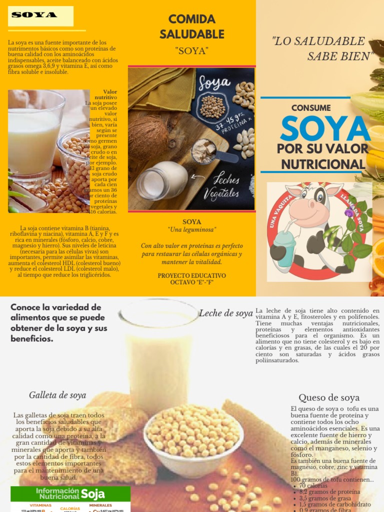 Triptico Nutricion SOYA | PDF