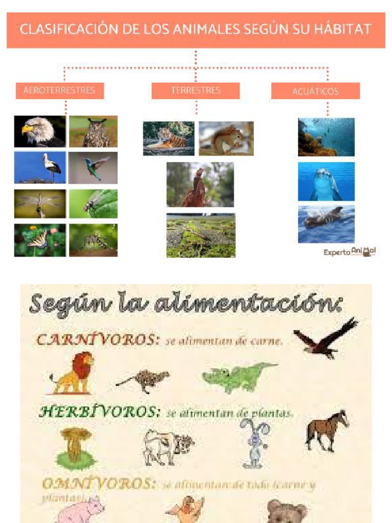 clasificacion de los animales segun su habitat | PDF
