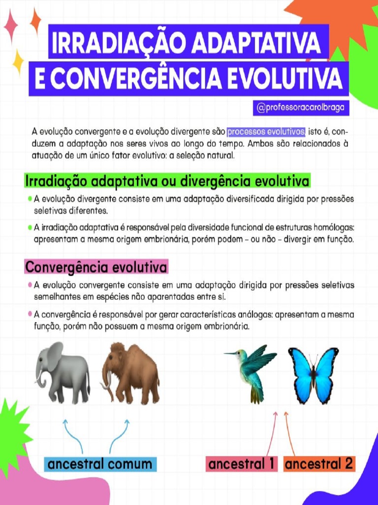 130 - Irradiação Adaptativa e Convergência Evolutiva | PDF