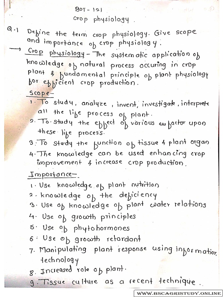 Bot 121 Handwritten Short Note 2 | PDF