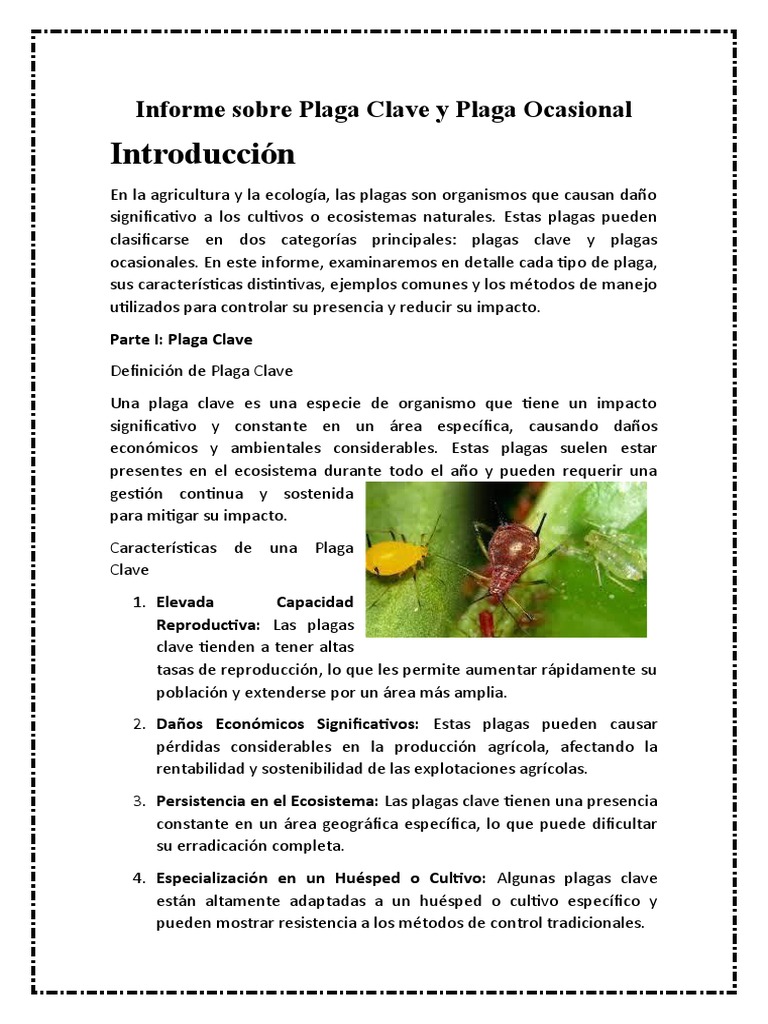 Informe Sobre Plaga Clave y Plaga Ocasional - Docx Magaly | PDF | Plaga ...