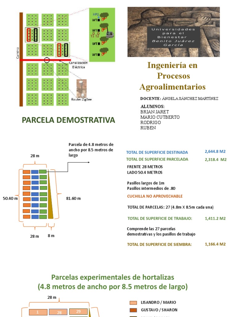 Parcela Demostrativa | PDF | Botánica | Agricultura