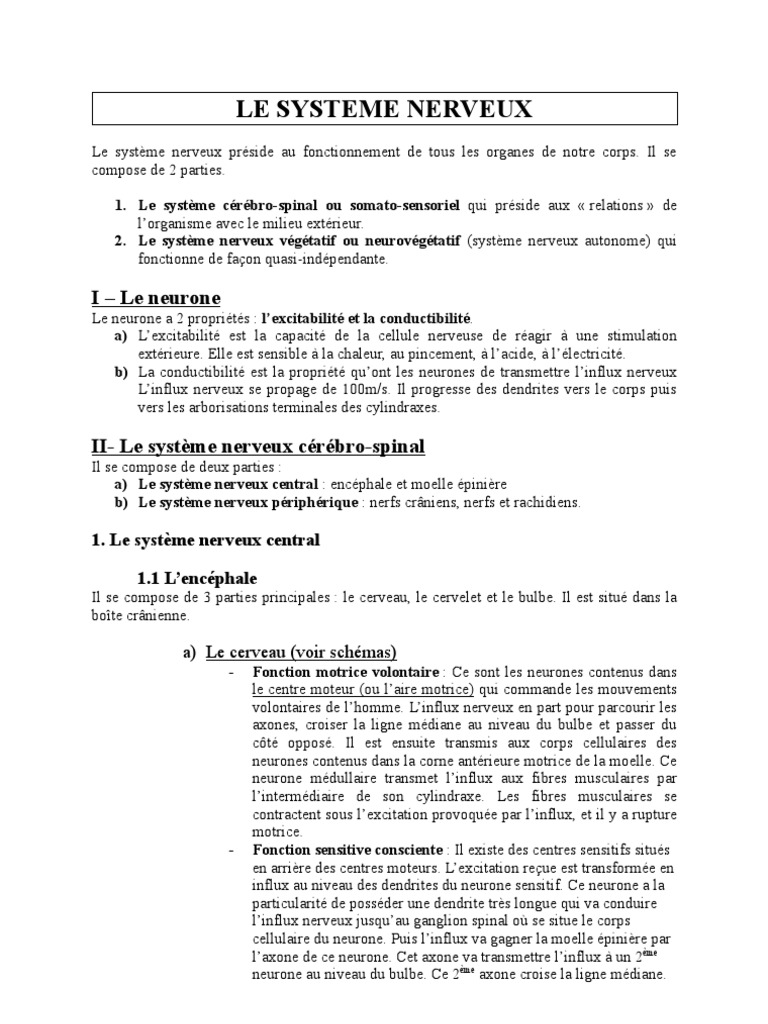 Le Systeme Nerveux | PDF