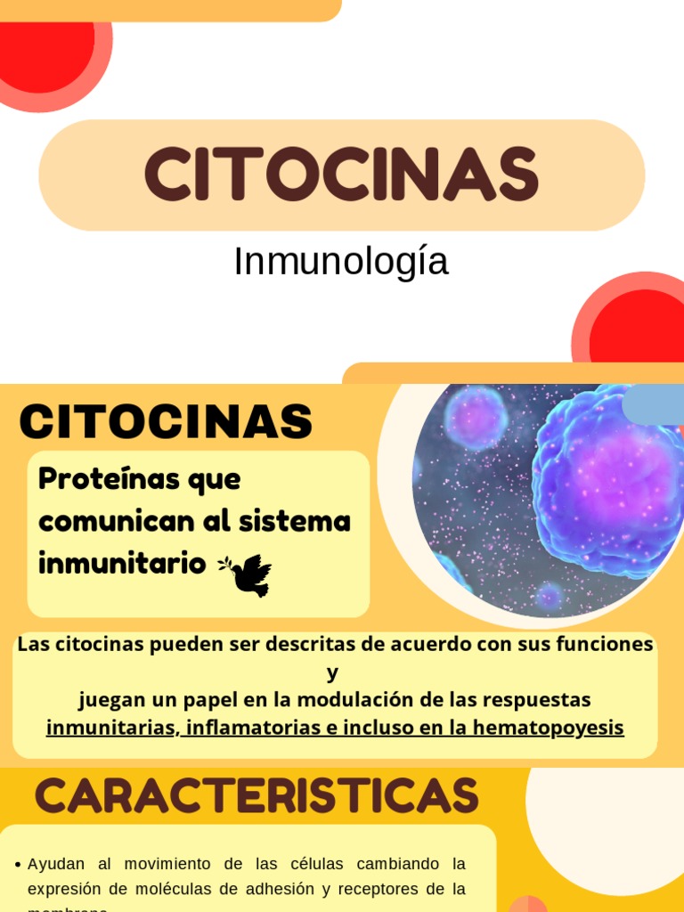Citocinas | PDF
