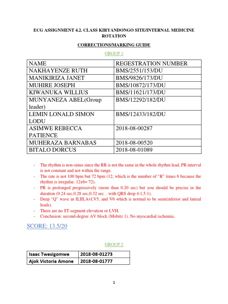 Ecg Assignment Kiryandongo M.G. | PDF