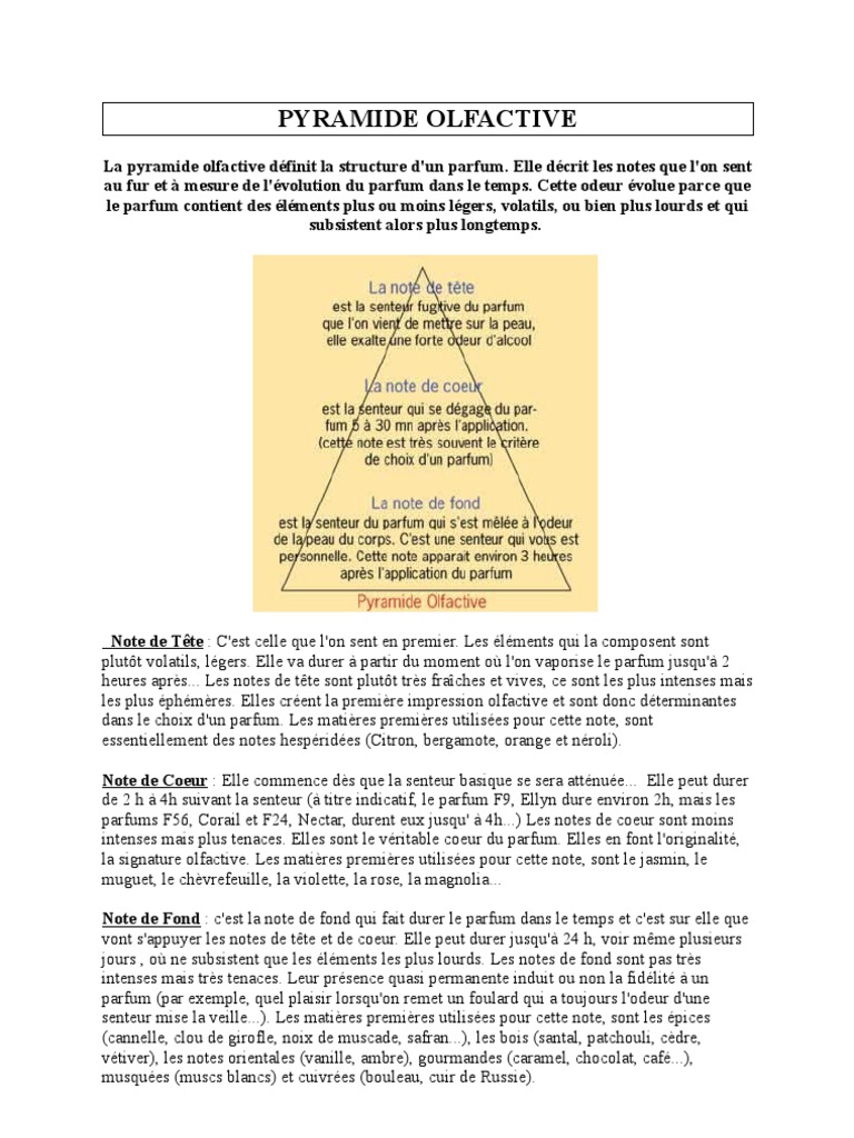 Pyramide Olfactive | PDF | Arts du langage et discipline