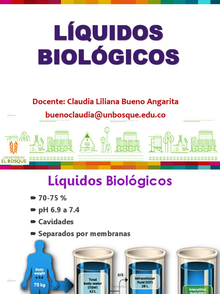 Líquidos Biológicos UEB | PDF