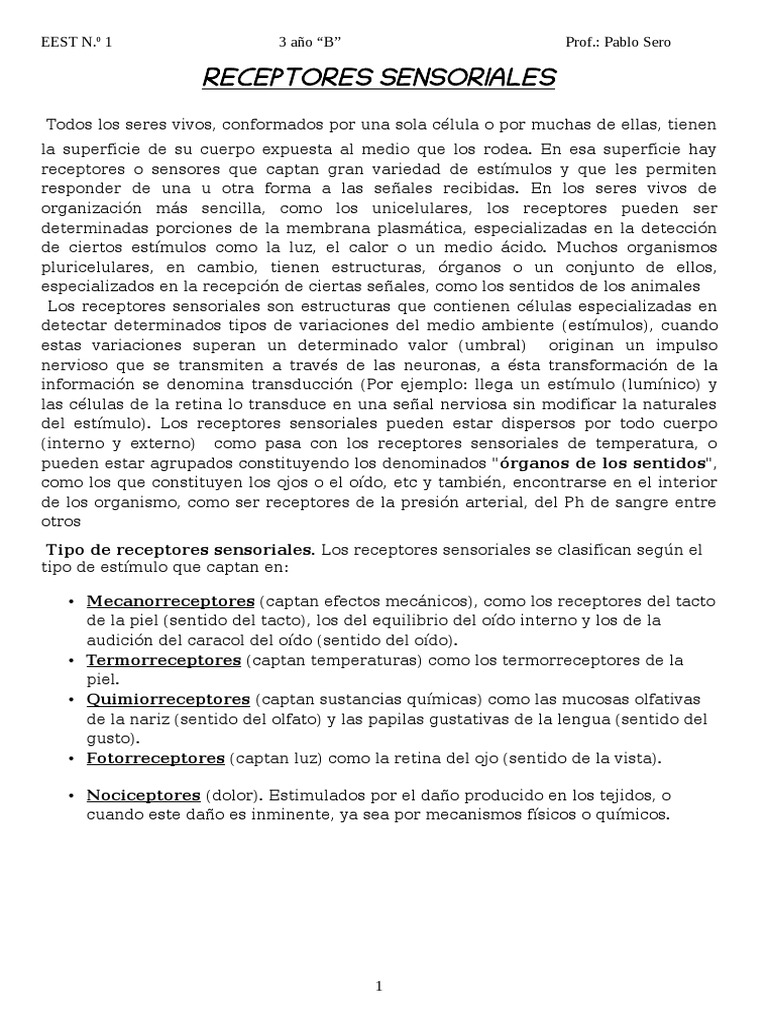 Organos Receptores | PDF