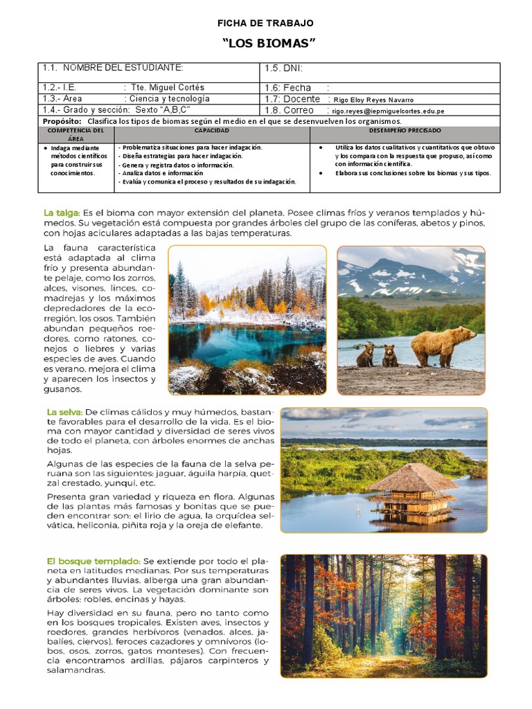 3 - Ficha de Trabajo - Los Biomas | PDF
