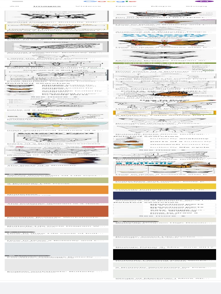 Butterfly Diagram and Label - Google Search | PDF | Butterfly | Insects ...